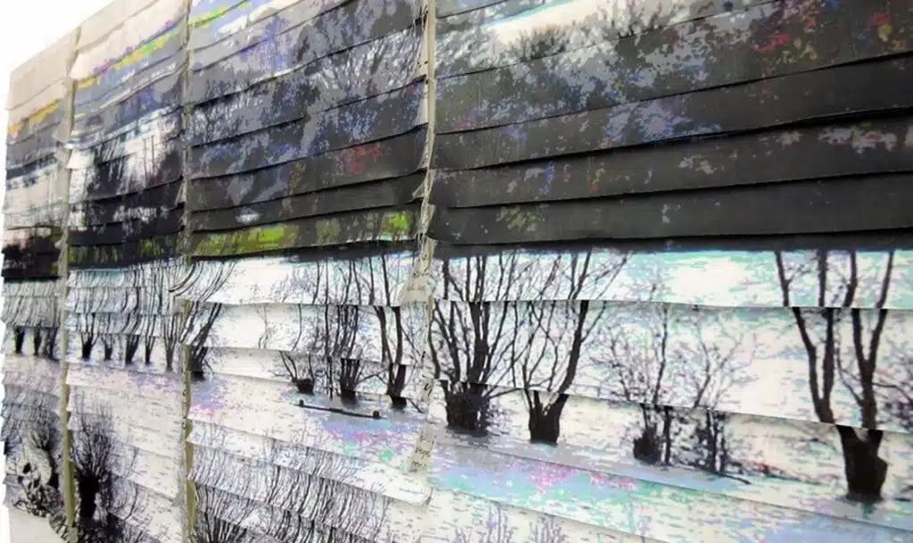 Sandra Meech: Silence and Ice